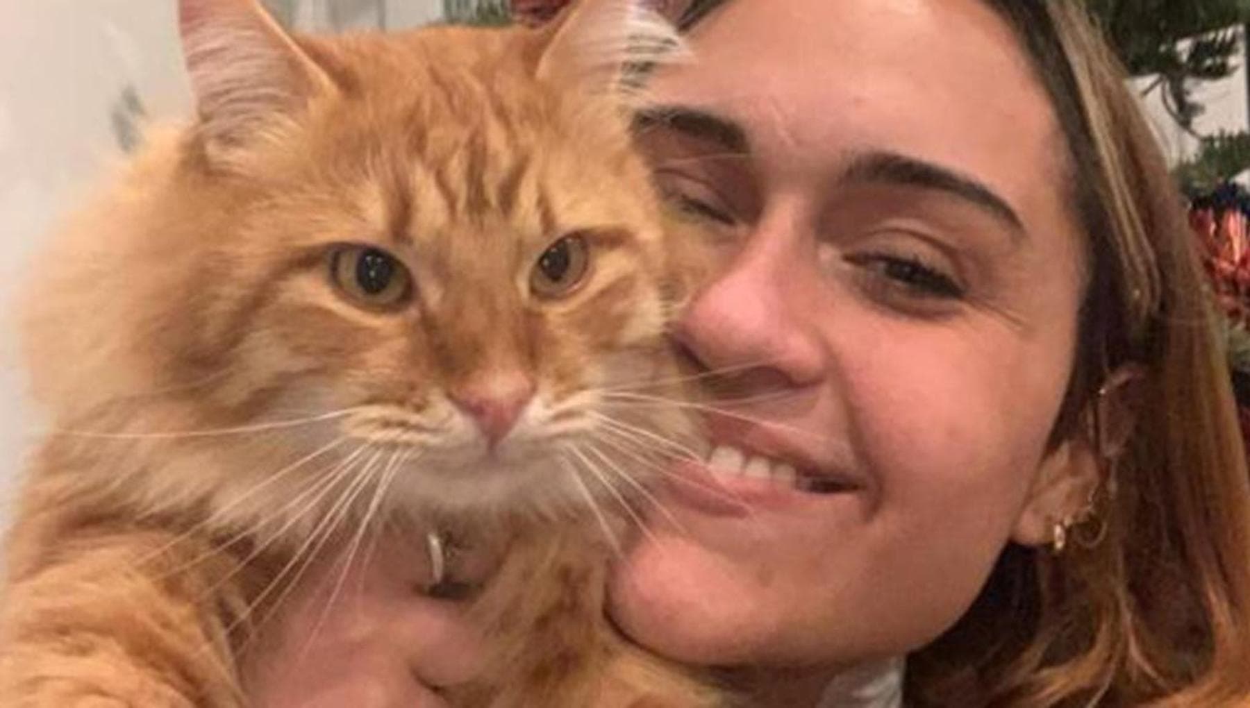 “È fuori dalla mia finestra!”. Il suo gatto scappa durante un viaggio ...