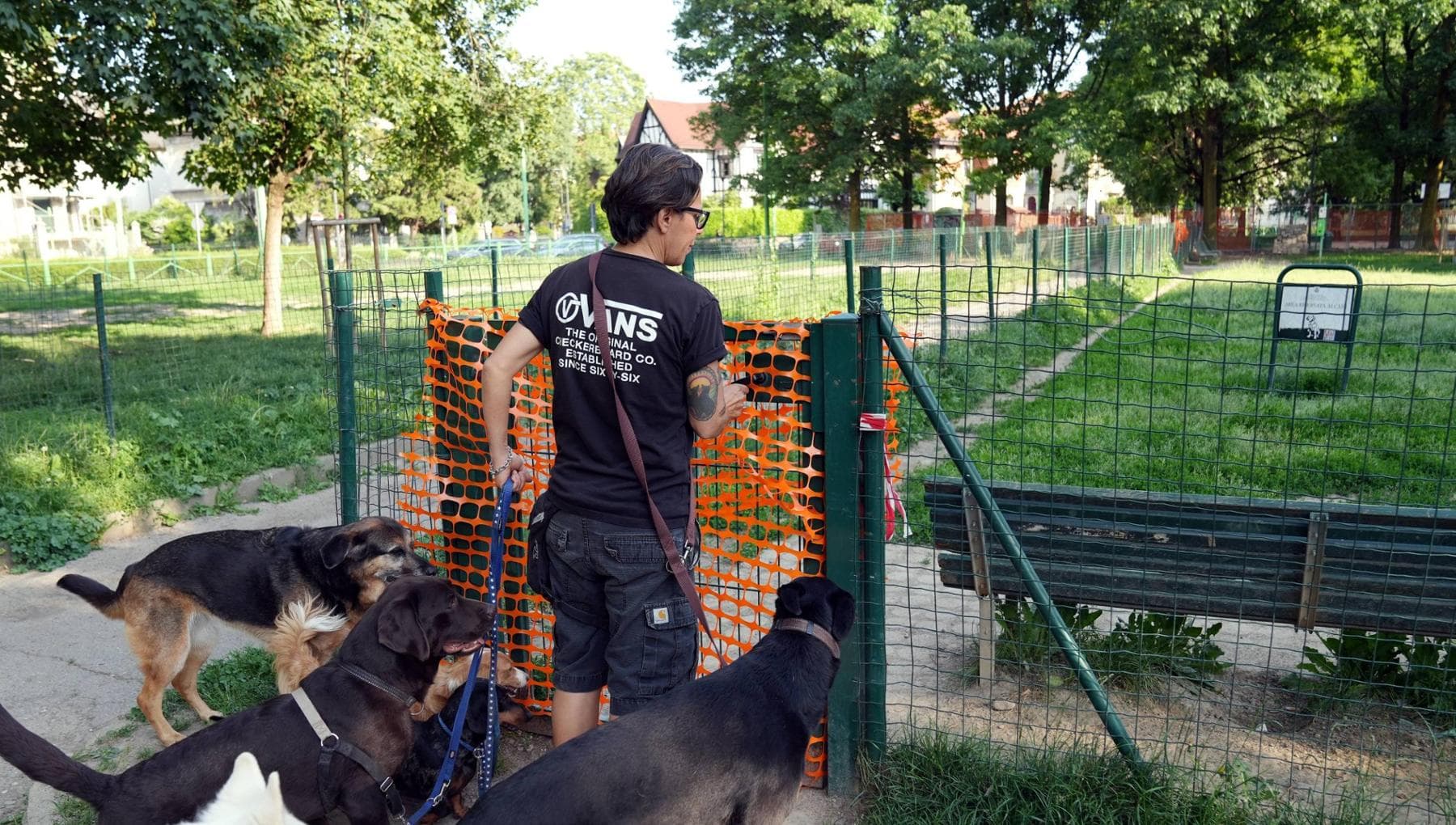 Dalle crocchette alla ciotola, ecco le scelte green per il tuo cane ...