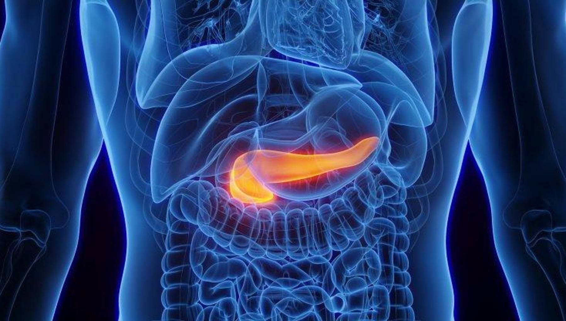 Tumore del pancreas, cos’è e come si cura - la Repubblica
