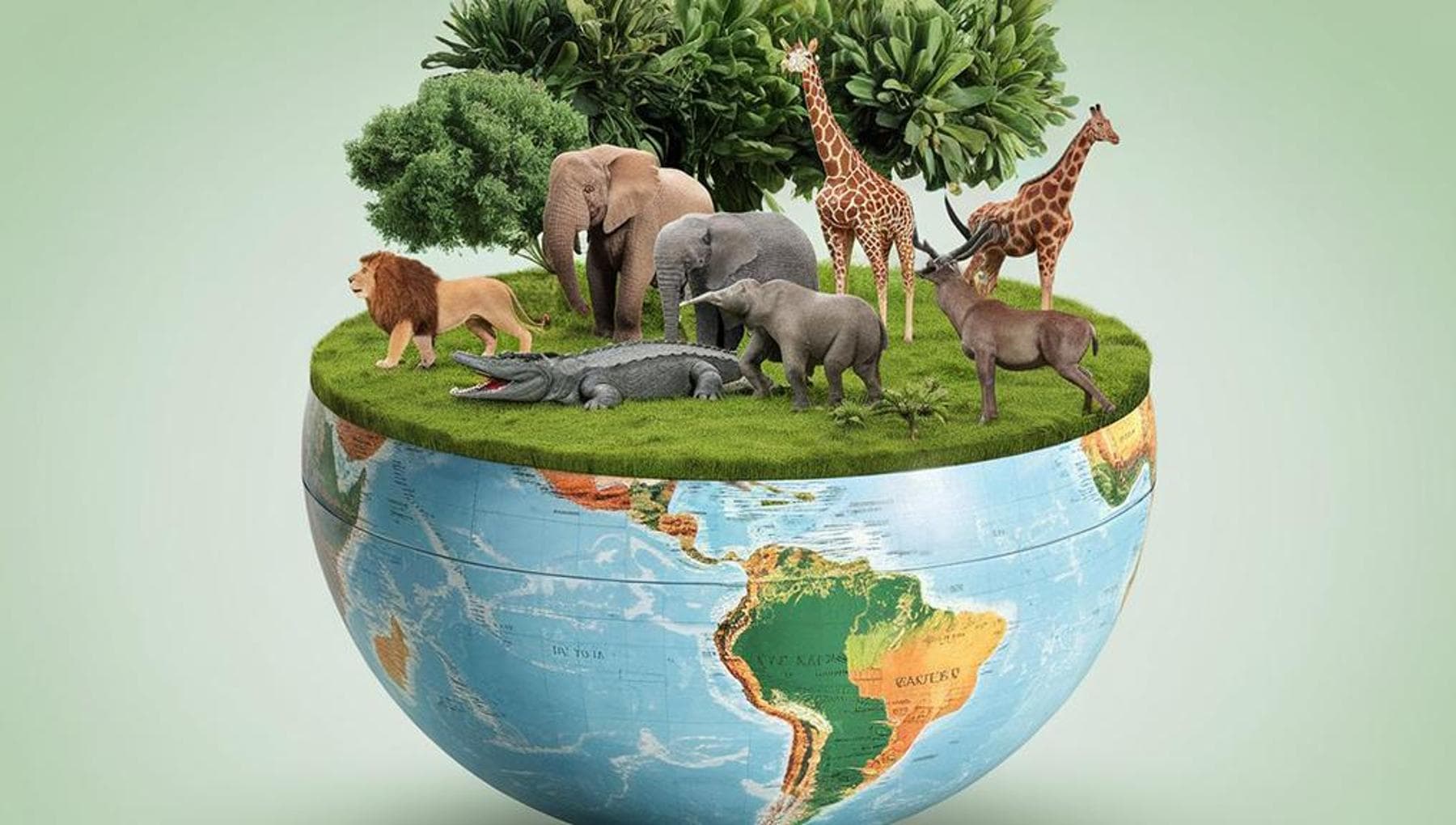 Biodiversità, oltre un milione di specie a rischio: serve investire per ...