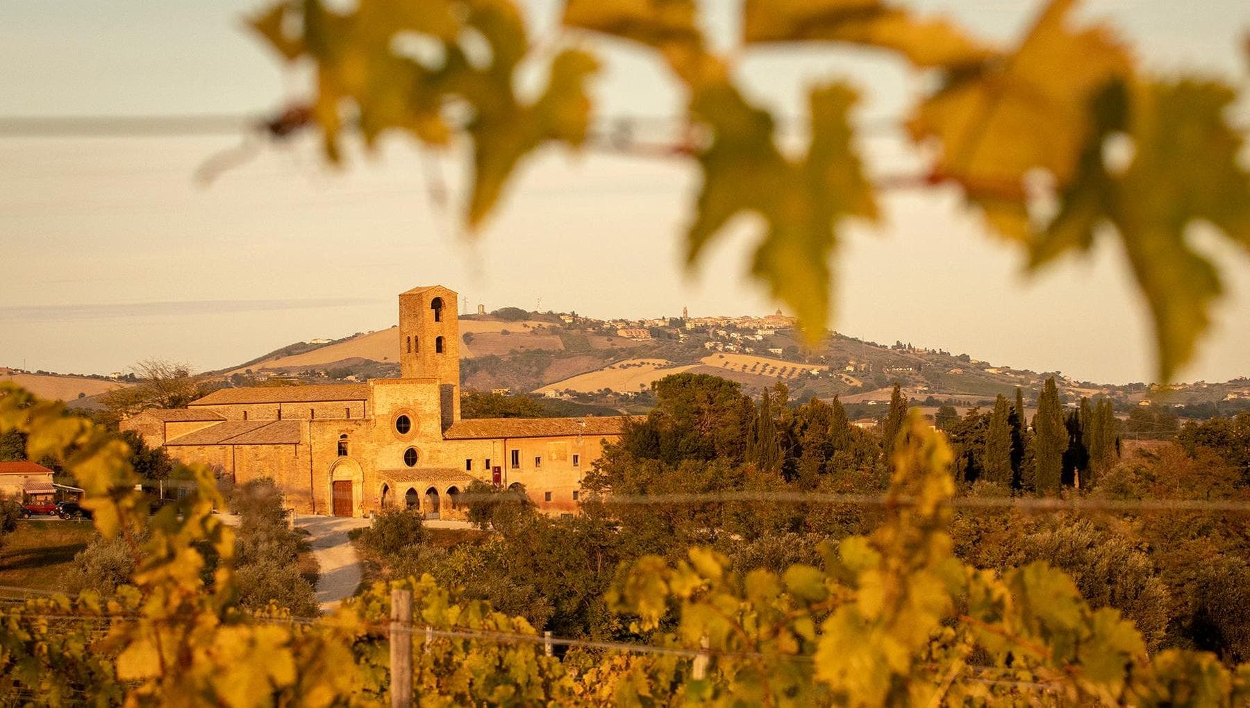 Colline Teramane: dal 1998 al 2024, i dieci vini da non perdere - la ...