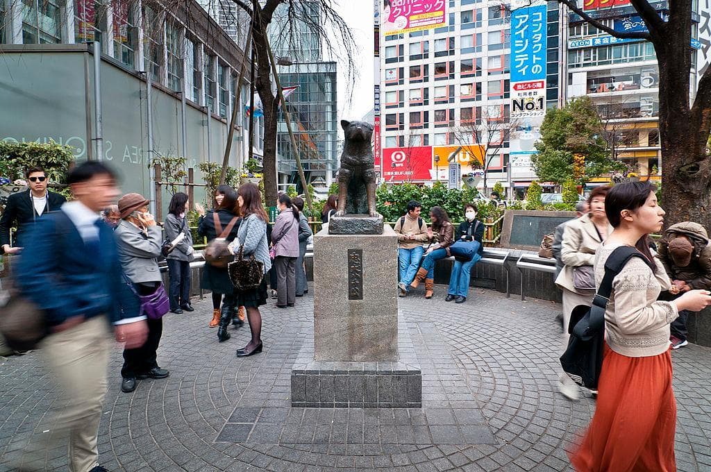 Hachiko, 90 anni dopo: il cane che ci ha insegnato il vero significato ...