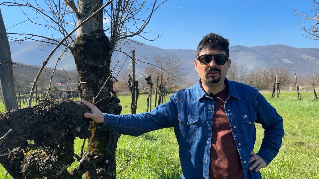 In vigna con Giovanni Vittiglio: "Questo vigneto di oltre 200 anni ...