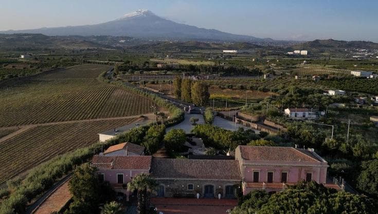 Tra l’Etna e il mare, la sorprendente cantina che sposa l’uva siciliana ...