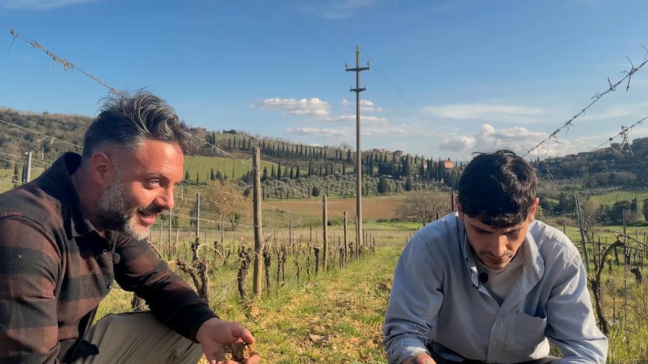 In vigna con Luca Fanti: "Il nostro vigneto più vecchio? Ha oltre 50 ...