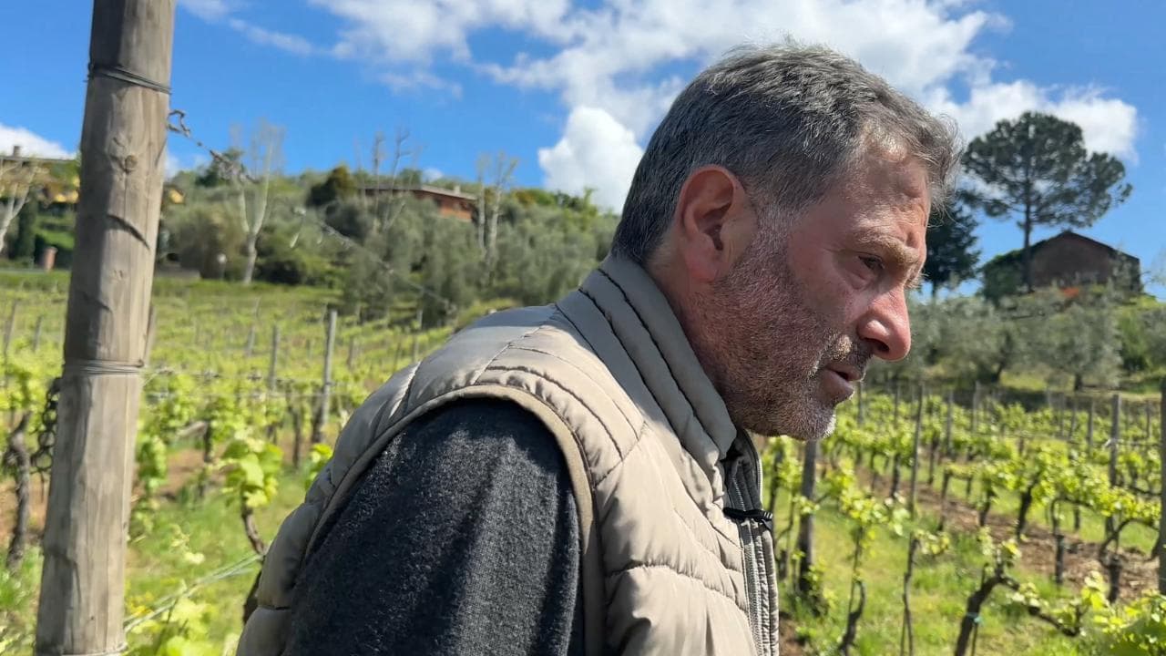 In vigna con Fernando Proietti: "Il Cesanese è un patrimonio, una ...