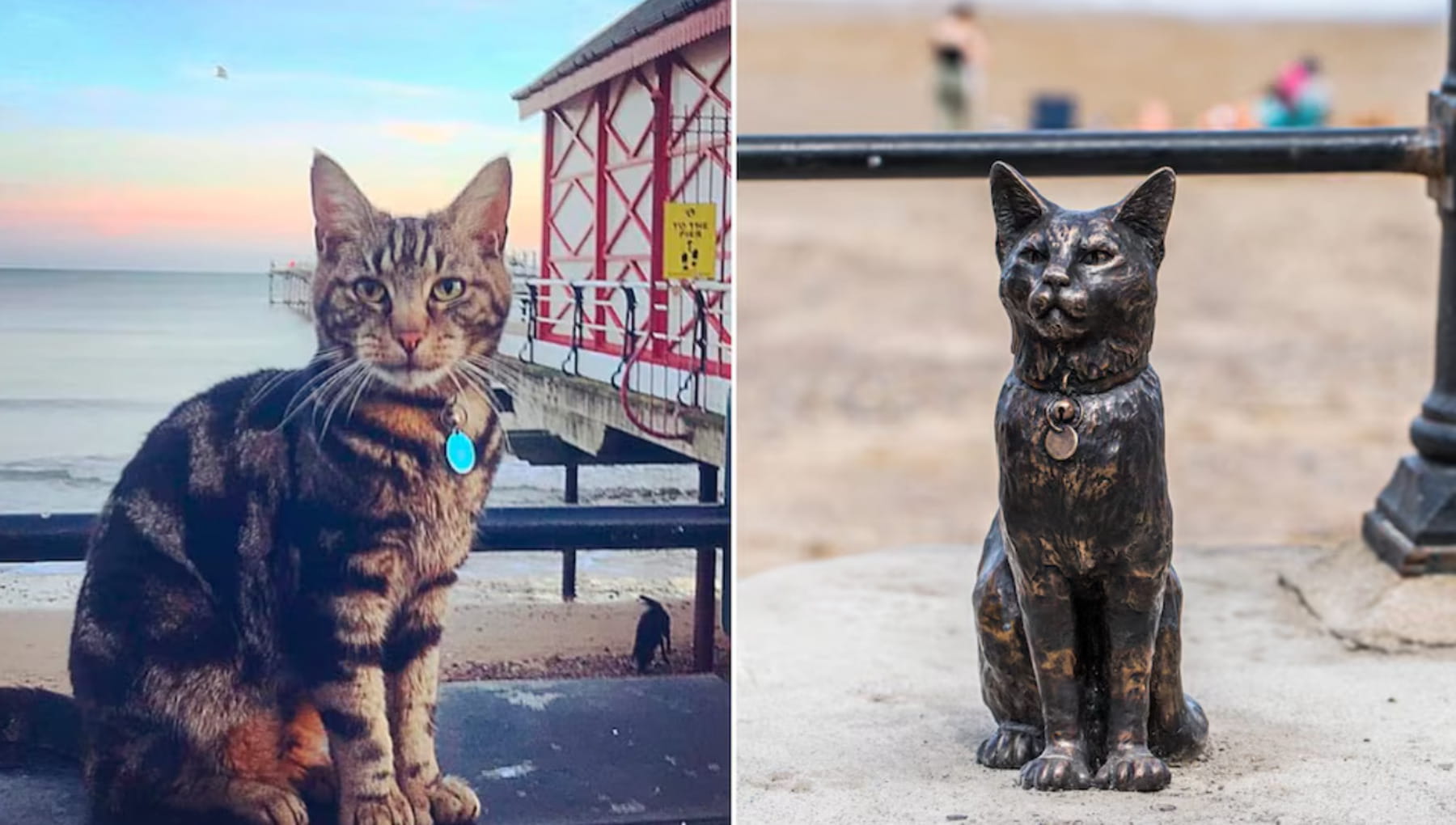 La statua di Hendrix che commuove Saltburn: il gatto che ha riunito un ...