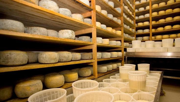 Giornata nazionale formaggio Onaf - la Repubblica