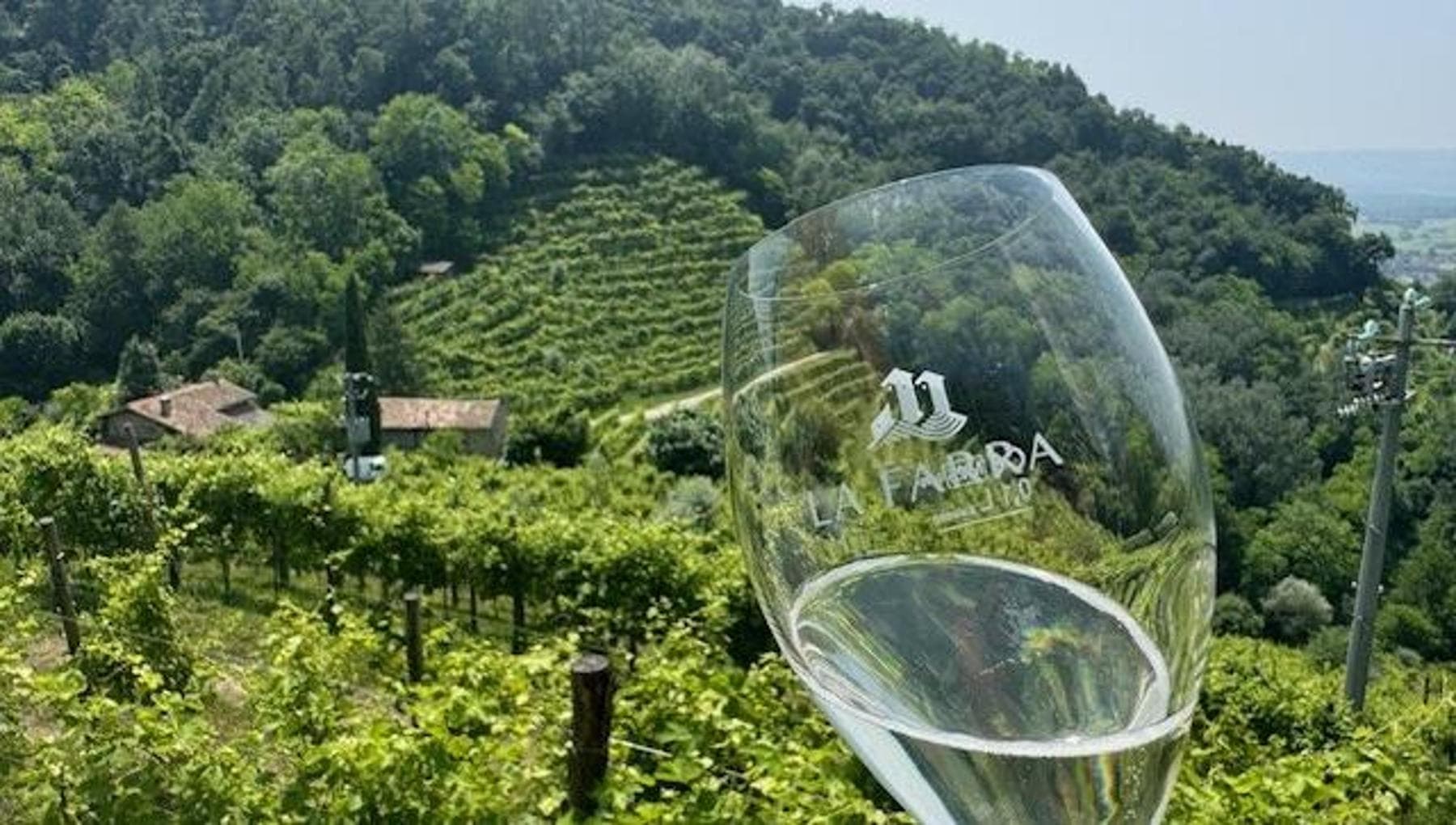 Prosecco superiore Docg Conegliano Valdobbiadene: in un bicchiere il ...