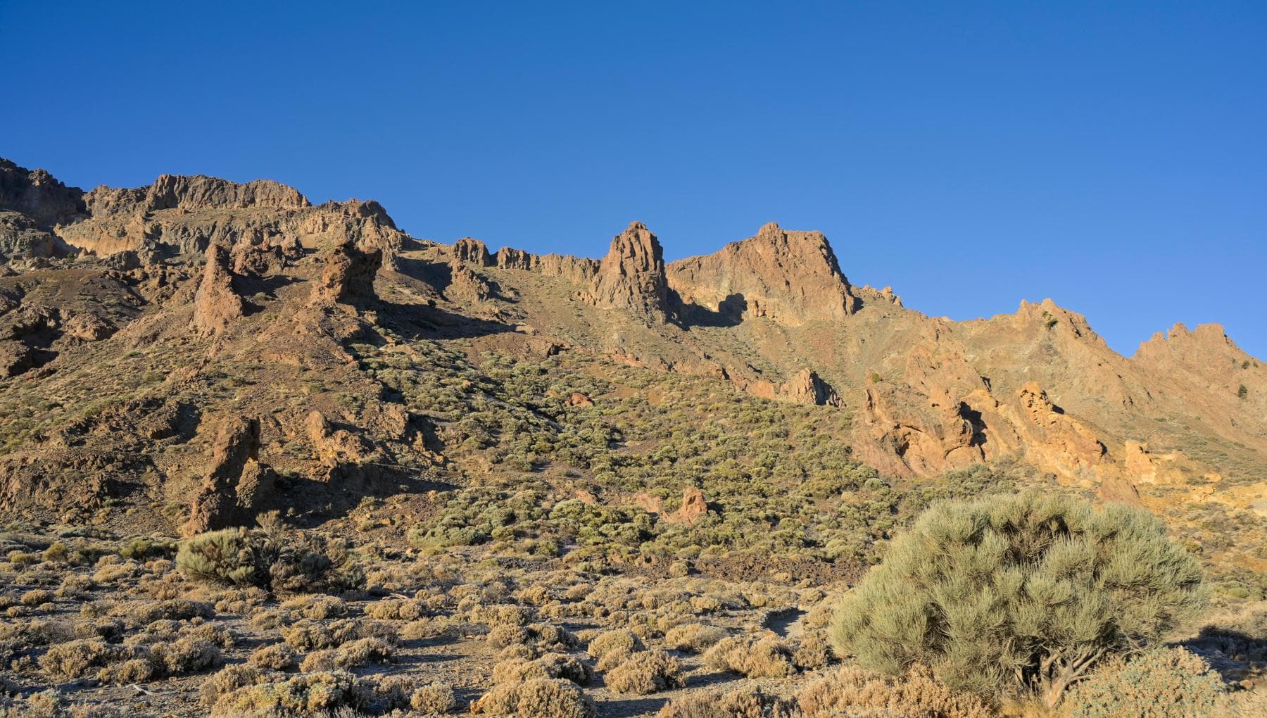 Tenerife dichiara guerra agli influencer che per i like deturpano l ...