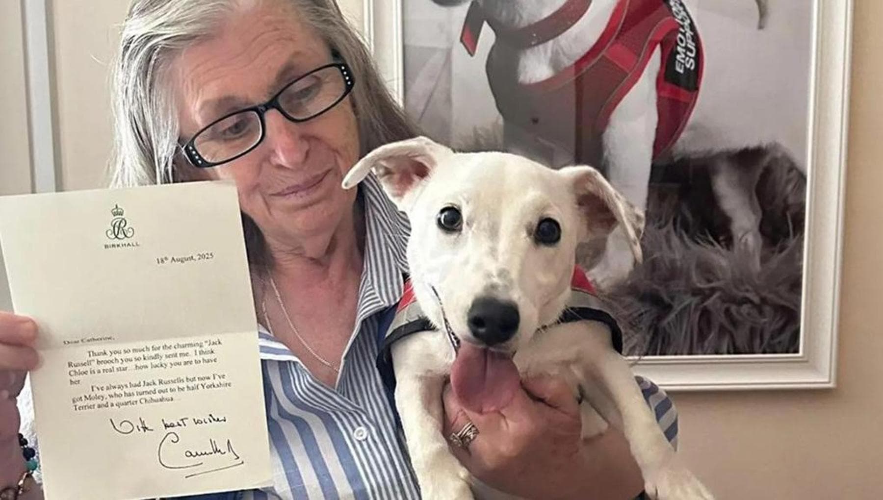 Il cane cucciolo Chloe salva la sua proprietaria 71 enne e riceve una ...