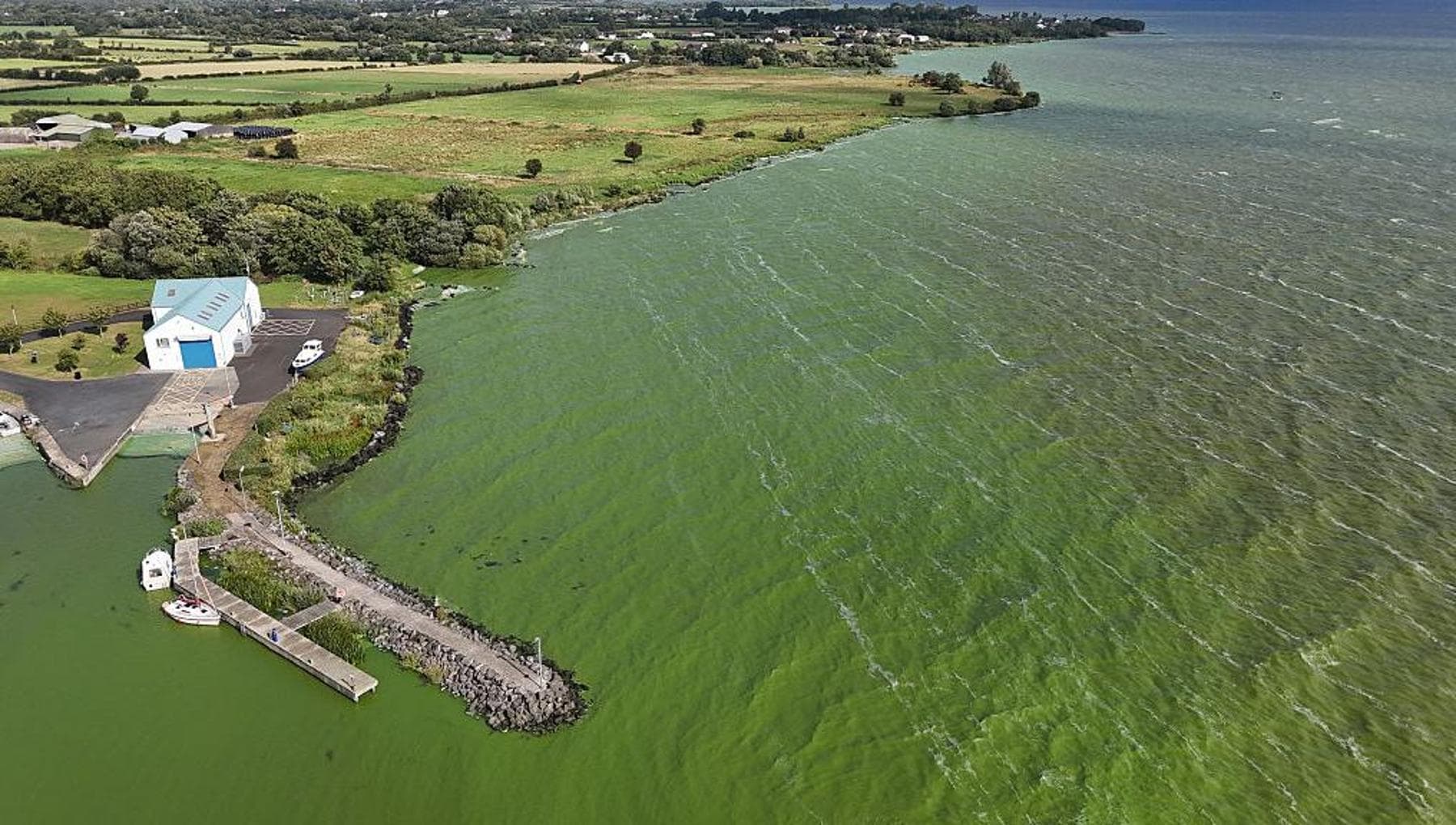 Lough Neagh, il più grande lago d’Irlanda minacciato dalle alghe ...