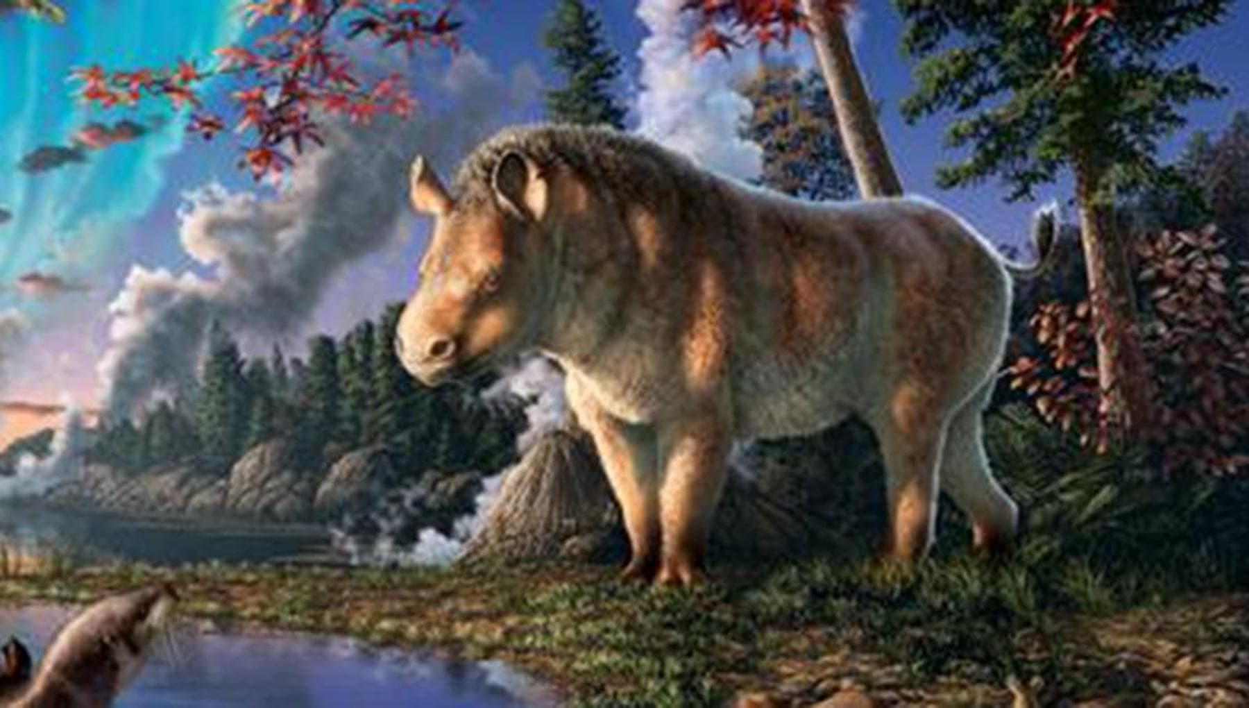 Scoperta in Canada una nuova specie estinta: l’Epiaceratherium itjilik ...