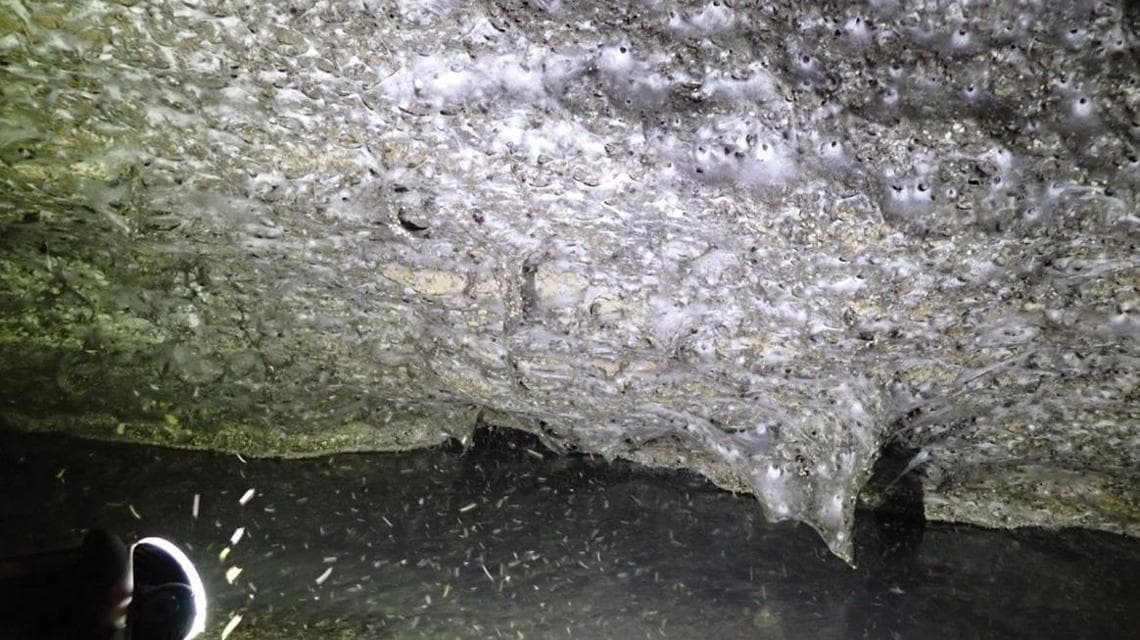 Scoperta la più grande ragnatela al mondo: in una grotta sulfurea ...