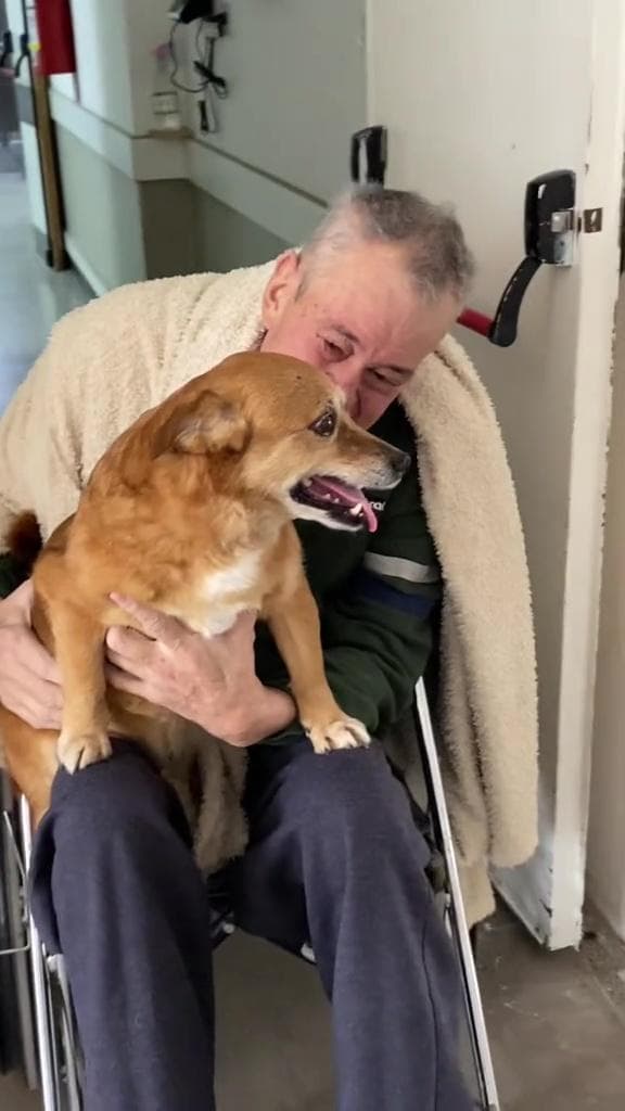 L’incontro che commuove: Miguel e il suo cane Simón di nuovo insieme ...