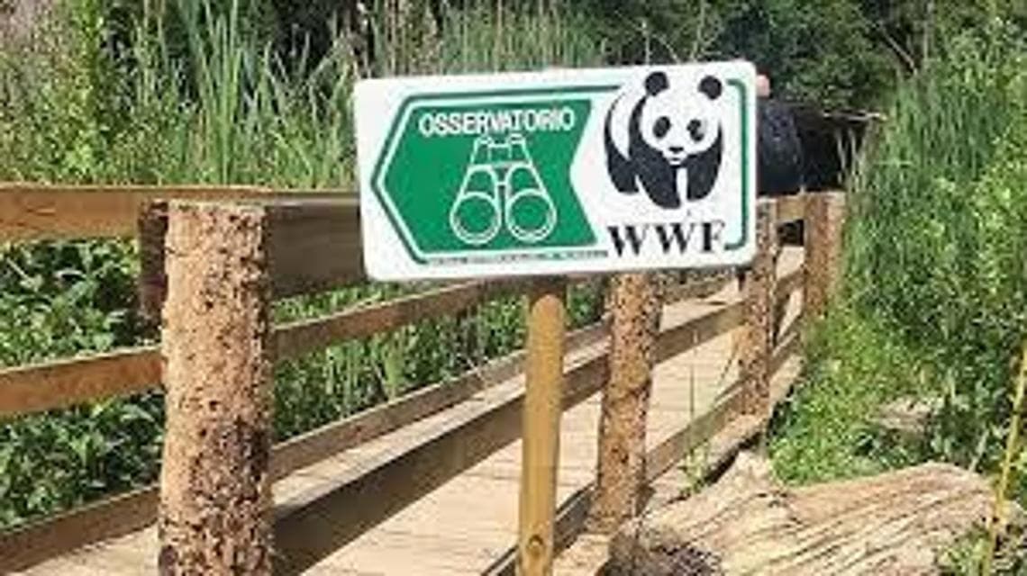 WWF Italia compie 60 anni: la prima iniziativa è per la scuola - la ...