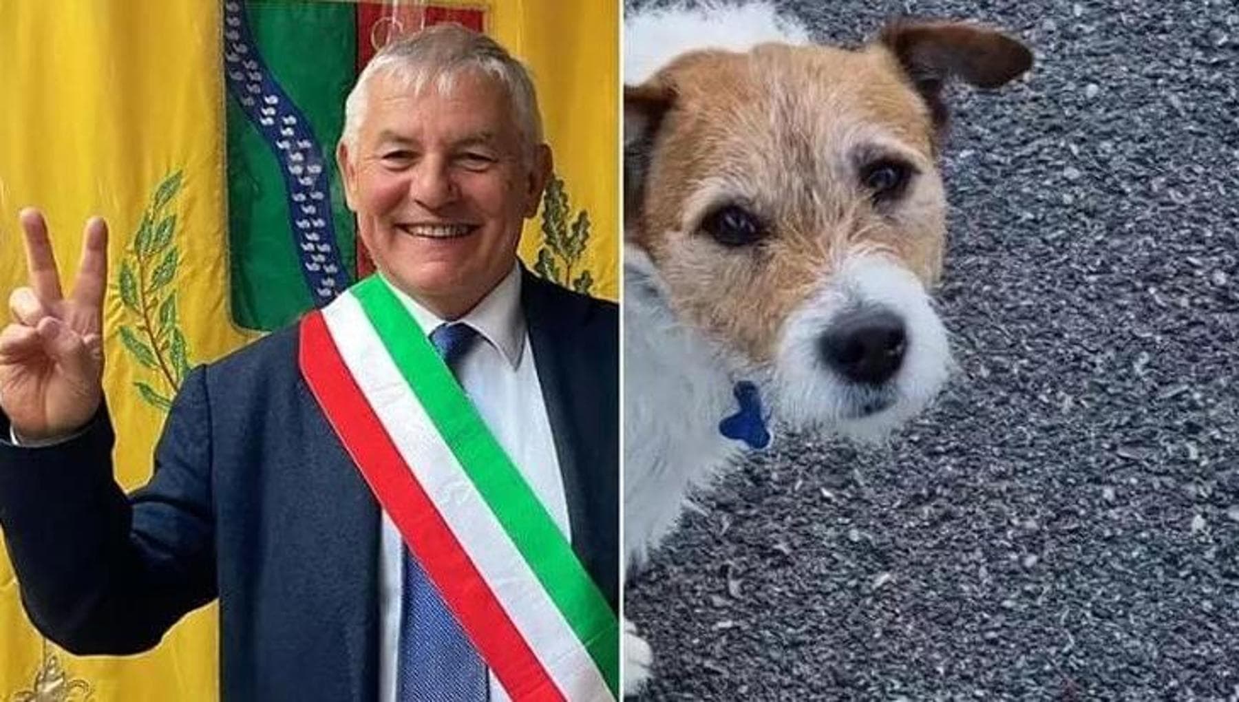 Thor, il cane che ha deciso un’elezione: a Porto Viro la politica passa ...