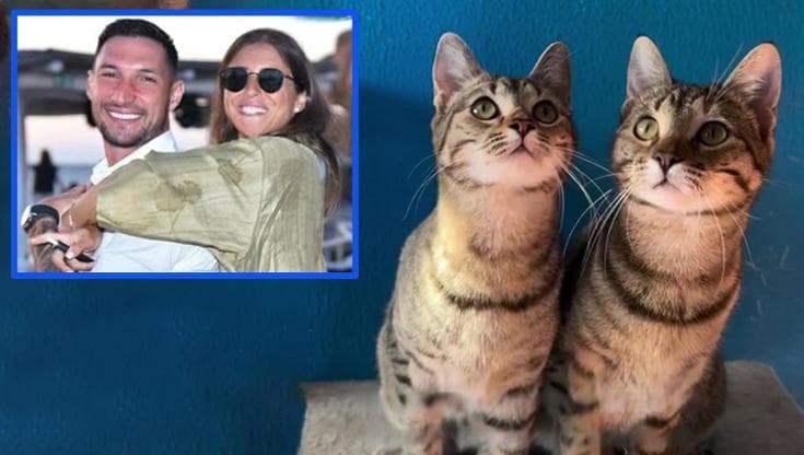 Il calciatore Matteo Politano e la moglie Alessandra adottano Brigitte ...
