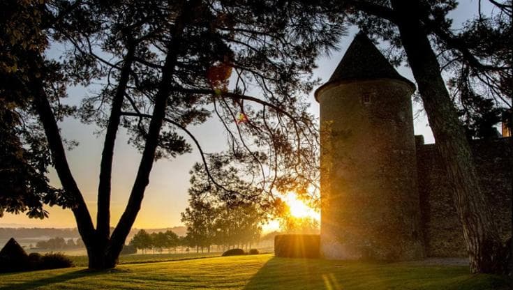 Yquem 2023, l’annata che chiude una trilogia straordinaria - la Repubblica