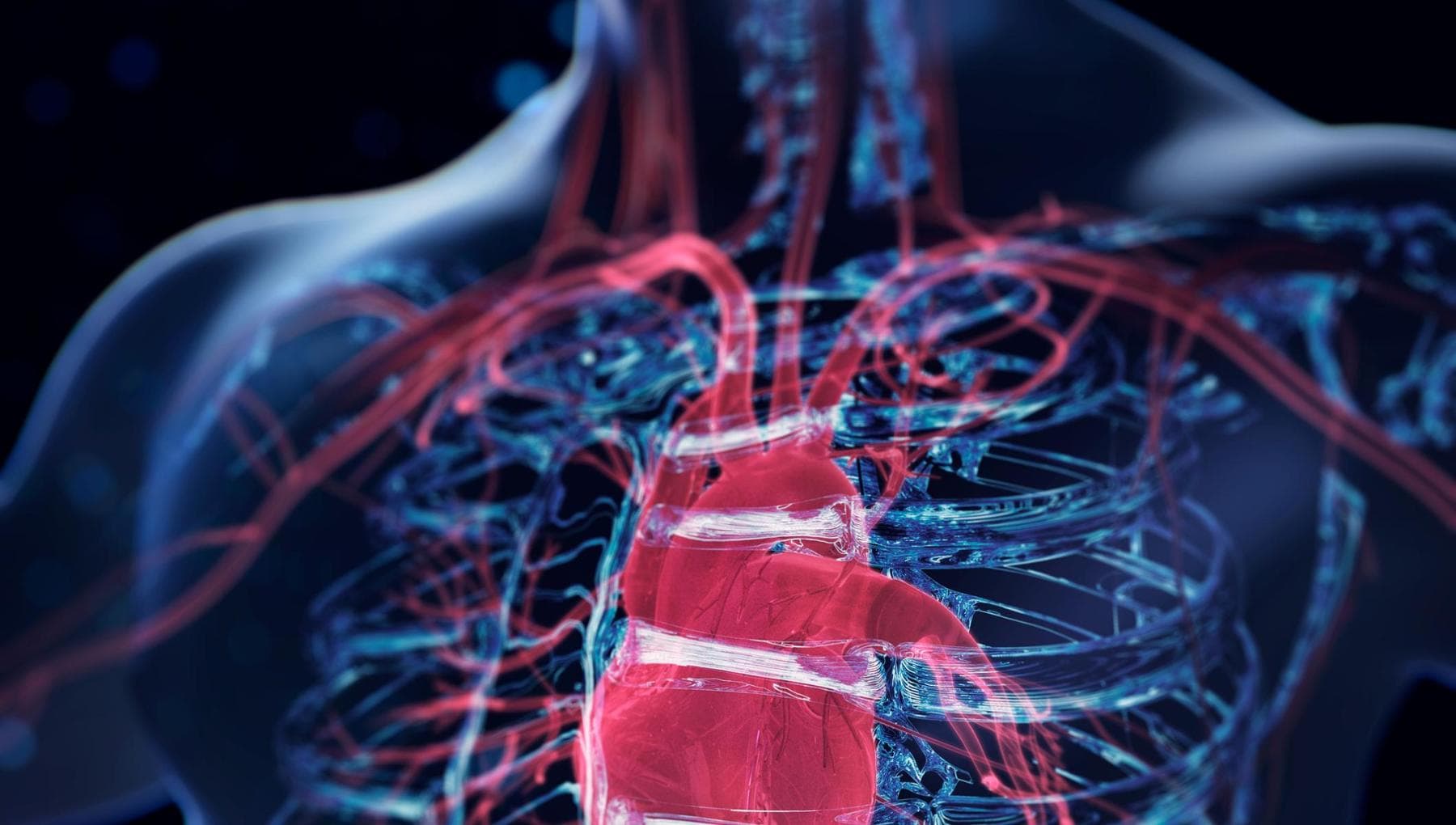 Aritmie cardiache: allo studio trattamenti che utilizzano la luce - la ...