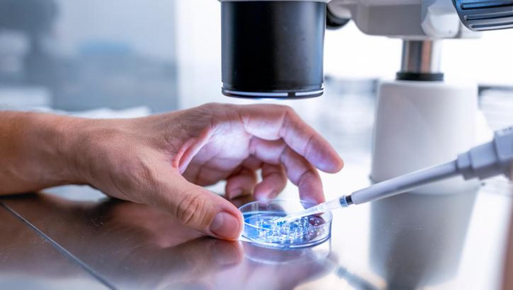 Tumori del sangue, oltre 200mila esami con LabNet: la rete che avvicina ...