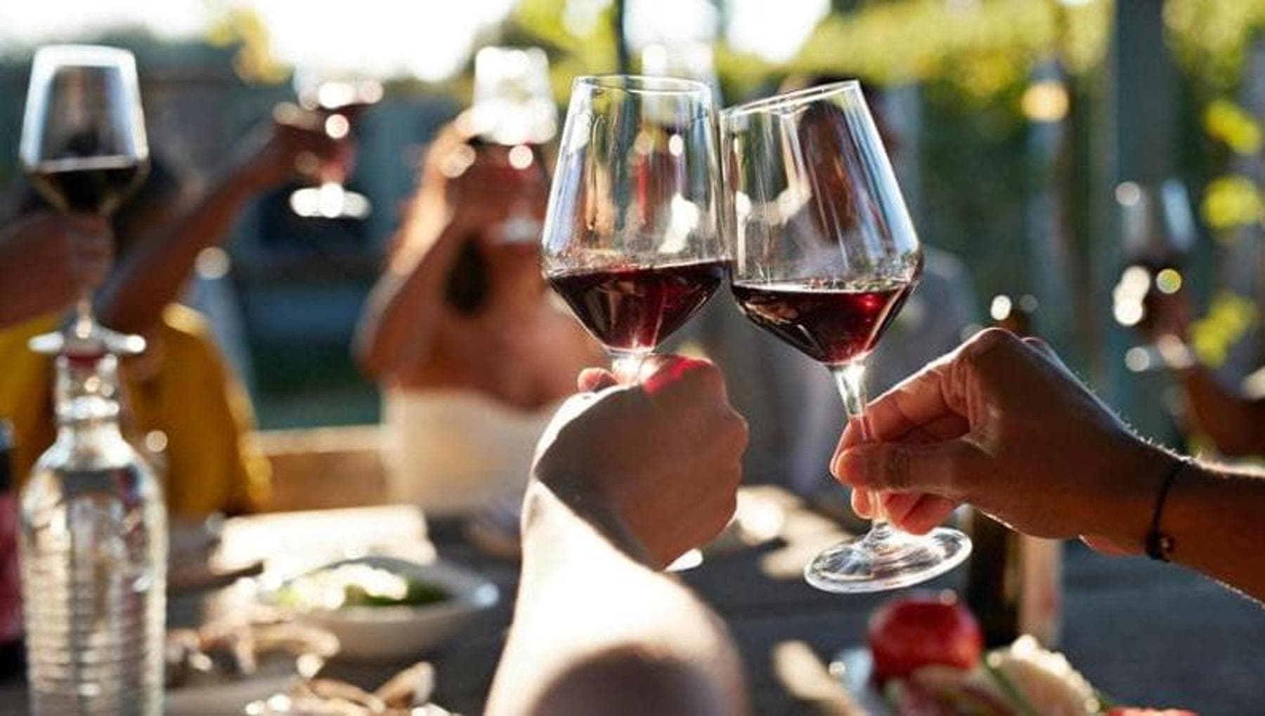 Bere senza alcol, ecco i primi vini dealcolati tutti made in Italy - la ...