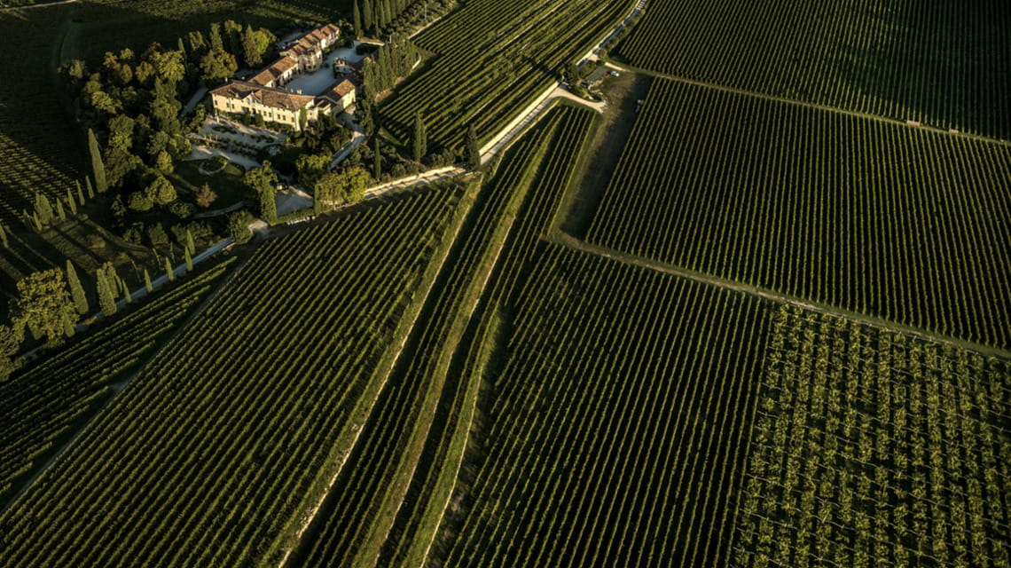 Bere senza alcol, ecco i primi vini dealcolati tutti made in Italy - la ...