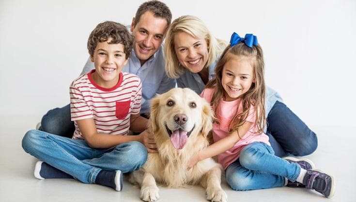 Il peso decisionale nella famiglia: chi si assume davvero la ...
