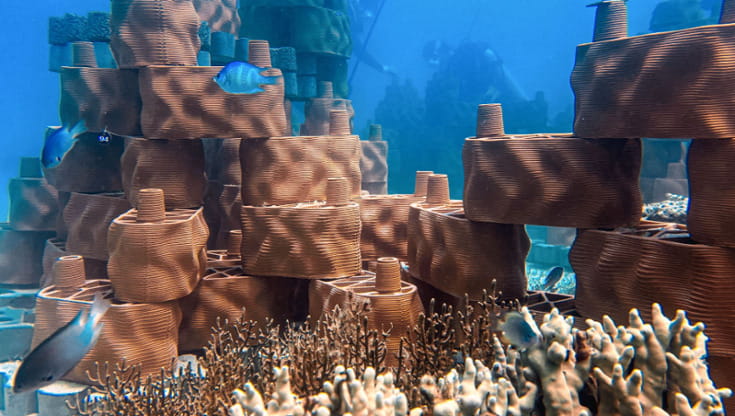 I mattoni stampati in 3D per ridare vita alle barriere coralline - la ...