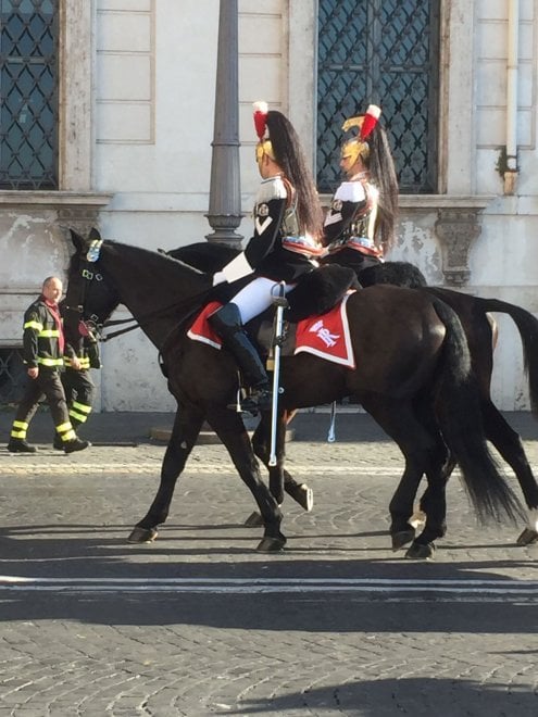 Quirinale, dalla Puglia i nuovi cavalli dei corazzieri - la Repubblica