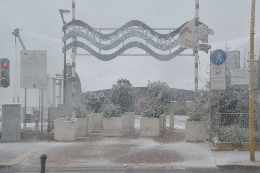 Bari sotto la neve, l'incanto del lungomare imbiancato - la Repubblica