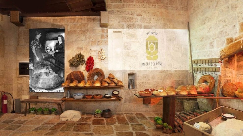 Il pane di Altamura è da museo: l'antico forno di Vito Forte nella rete ...