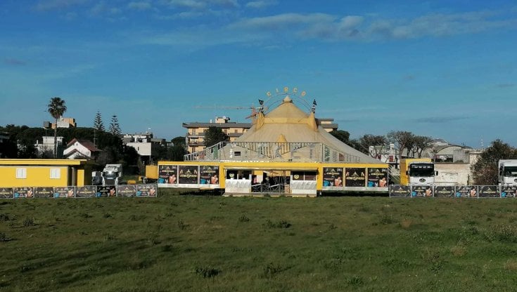 A Bari approda il circo senza animali: vengono sostituiti da ologrammi ...