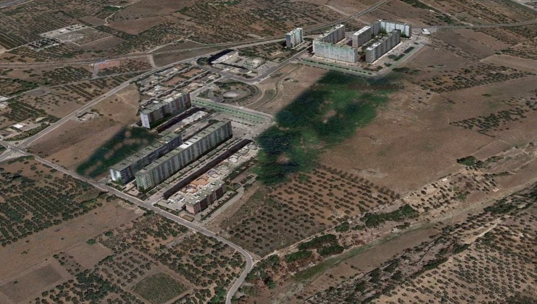 Bari, un bosco urbano a Loseto: via alla gara per la realizzazione ...