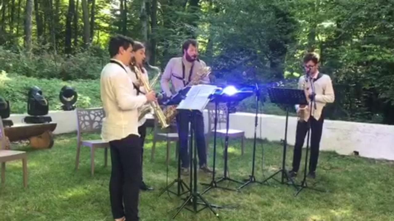 Ennio Morricone, la musica risuona nella Foresta Umbra: l'omaggio nel ...
