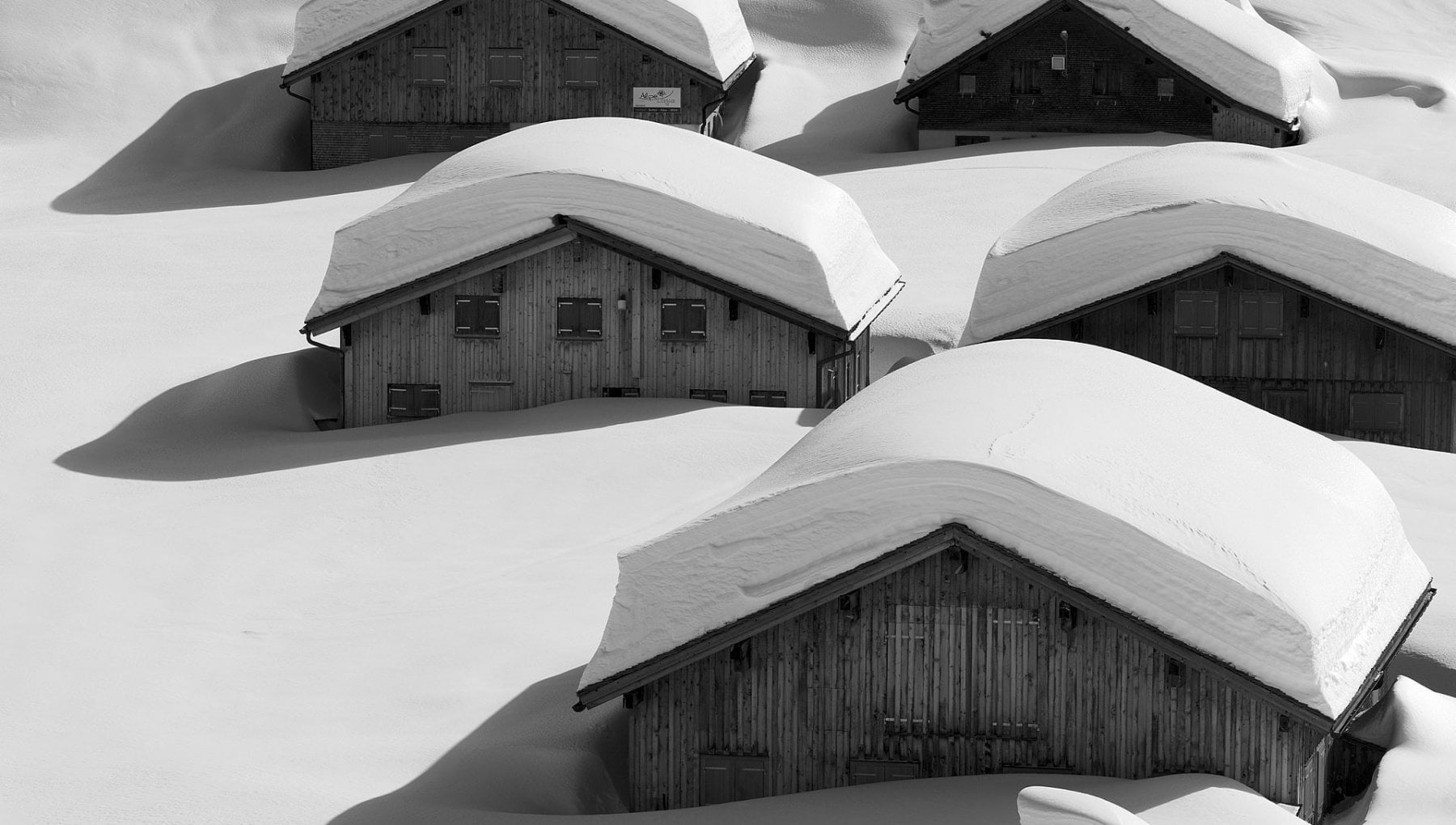 "Snow", ritratti sulla neve: le fotografie di Peter Mathis - la Repubblica