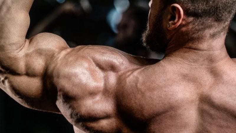 Anabolizzanti, è di nuovo nei guai bodybuilder ex campione del mondo ...
