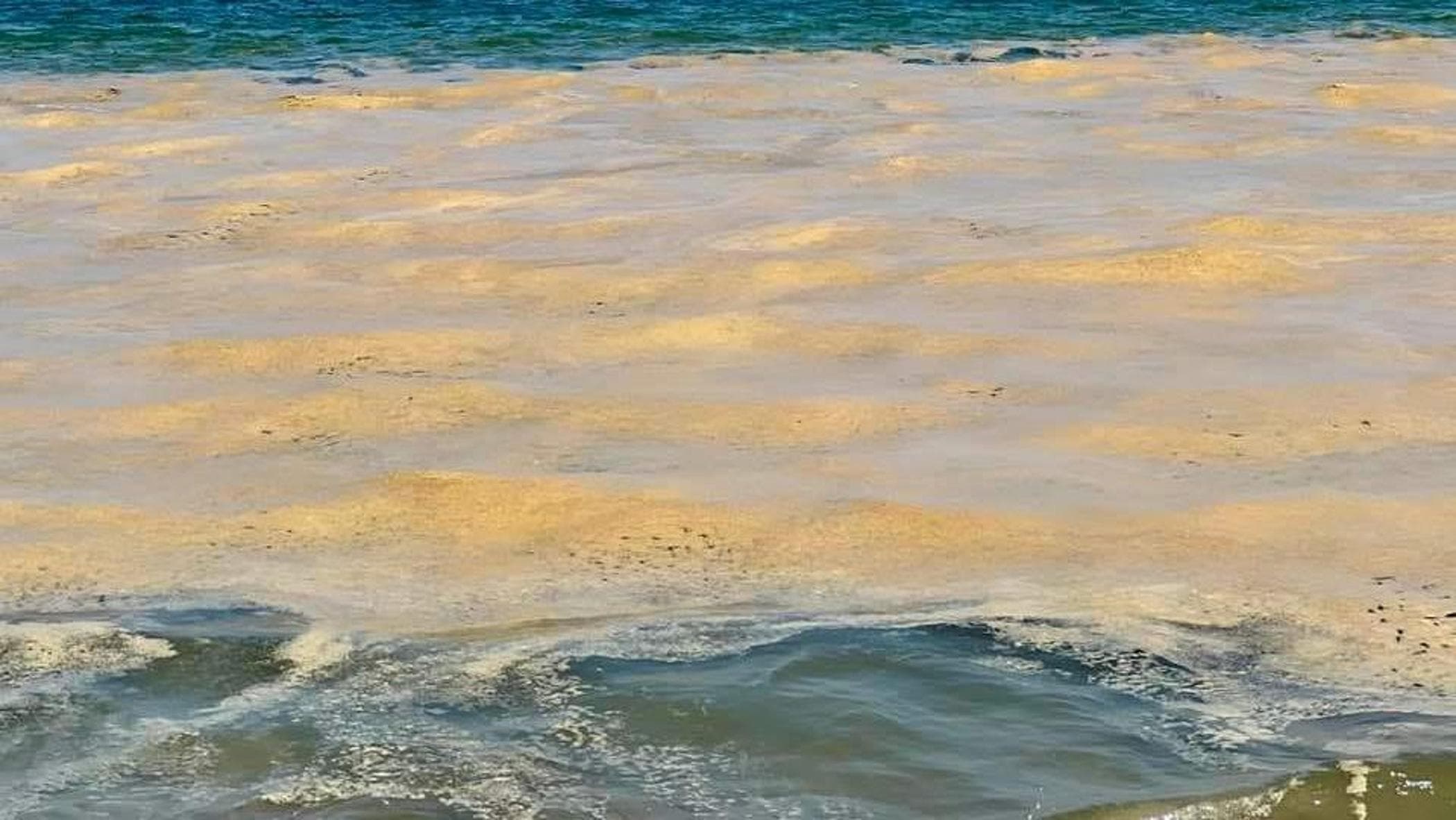 Mucillagine in Romagna, i bagnini: “Ci dovremo fare i conti”. Il ...