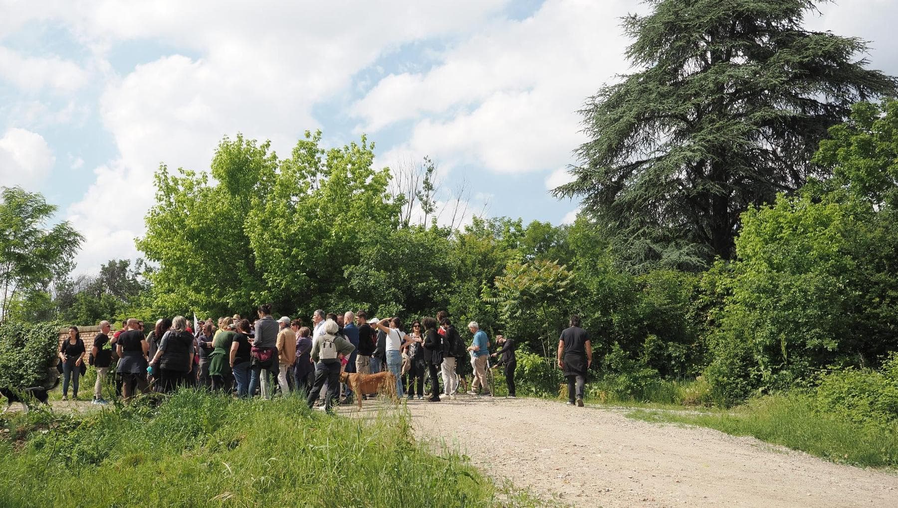Pescarola, in 150 alla passeggiata nel verde che sarà cancellato dal ...