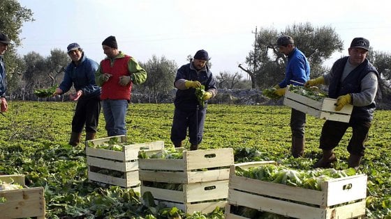 Storia, geografia e lavoro nei campi: nasce in Toscana la scuola per ...