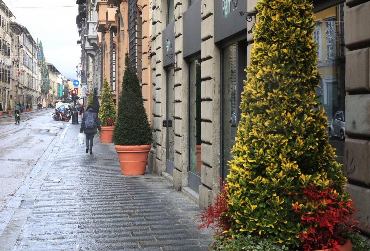 Firenze, le nuove fioriere installate in via Cavour - la Repubblica