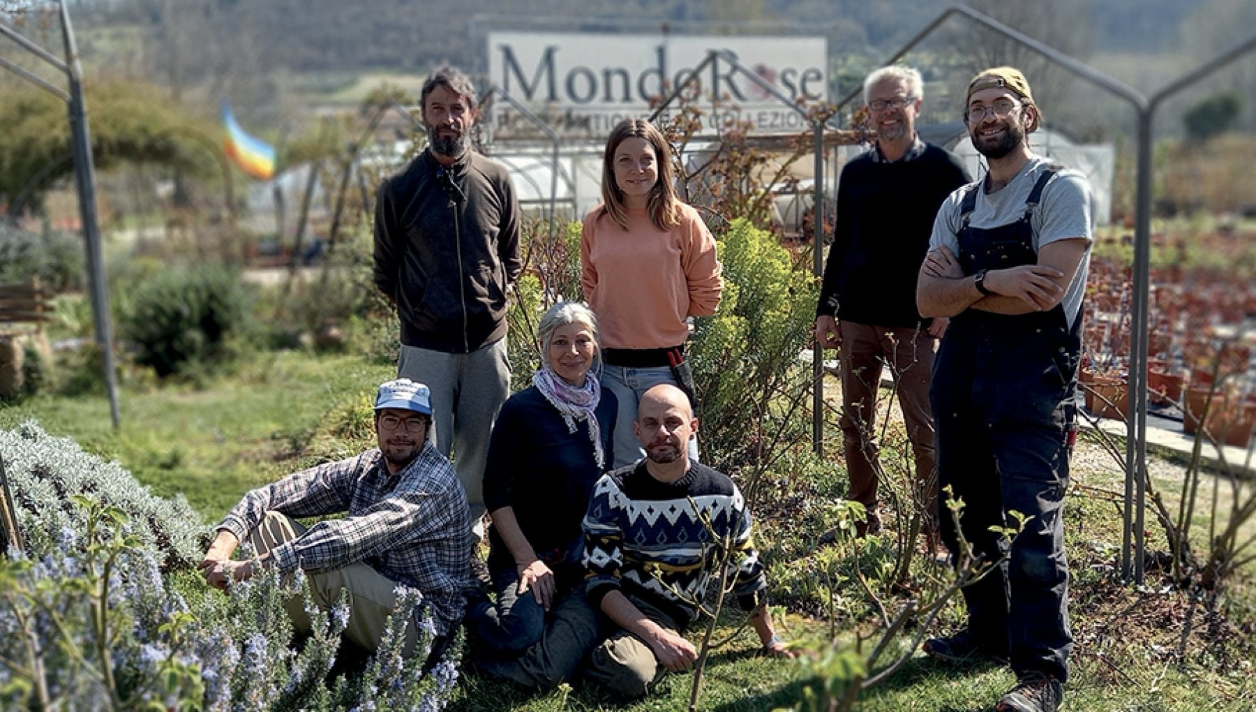 Mondorose e Fiori, un piccolo grande vivaio di rose che progetta ...