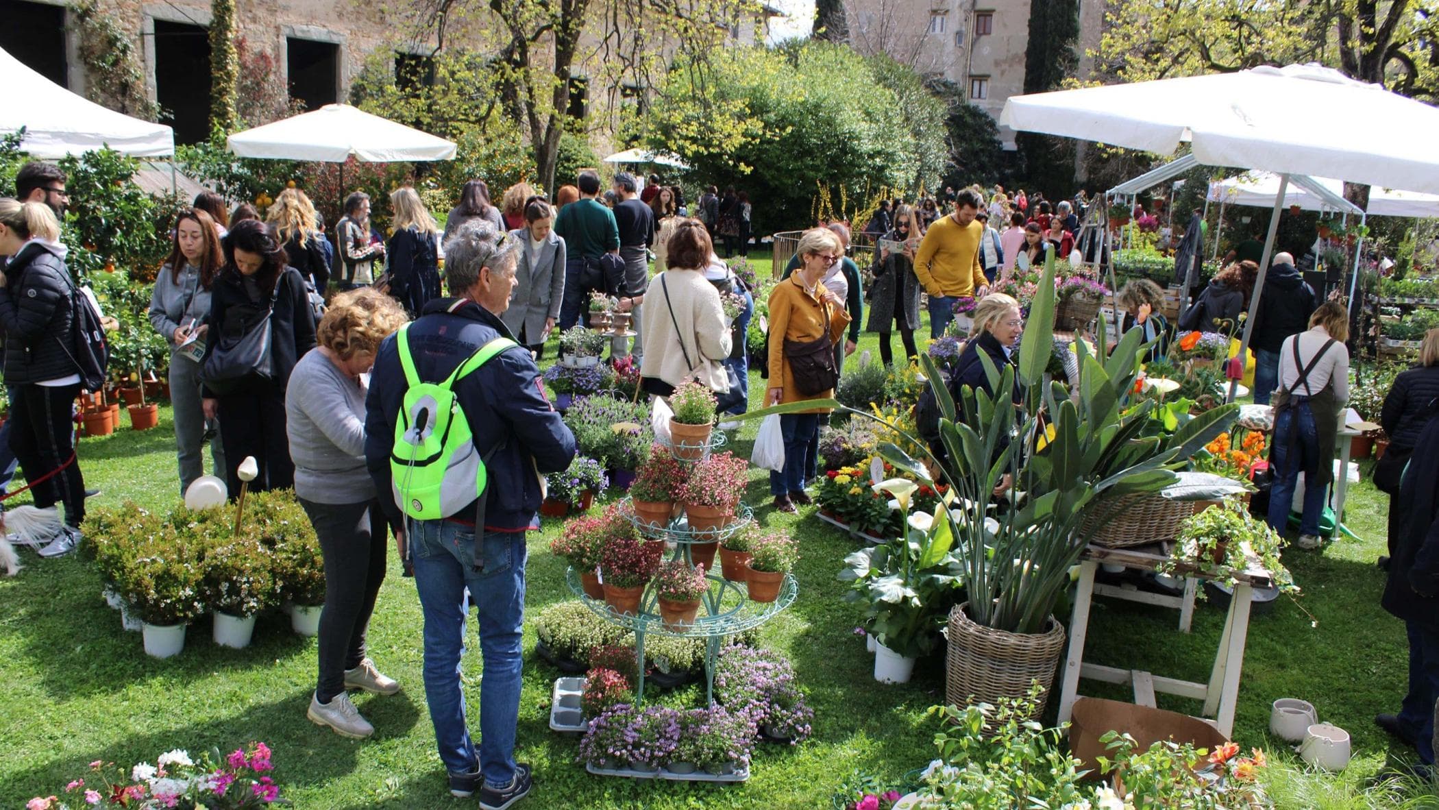 Florence Flower Show, piante in mostra nel Giardino Corsini - la Repubblica