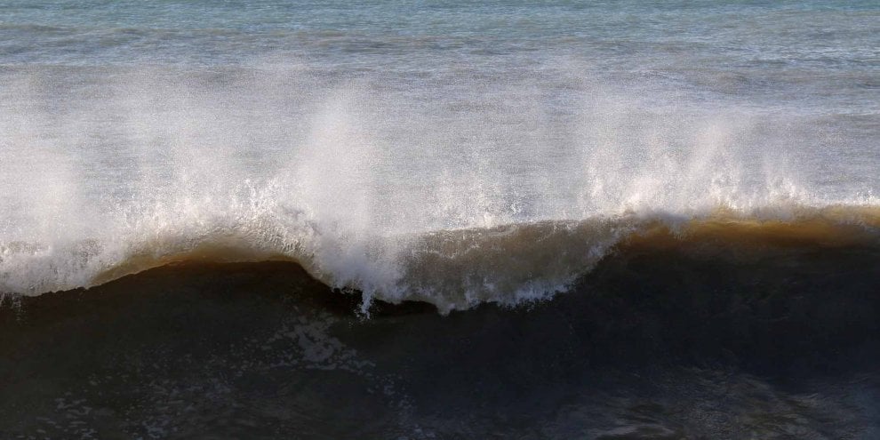 Genova, onde da surf alla Foce - la Repubblica