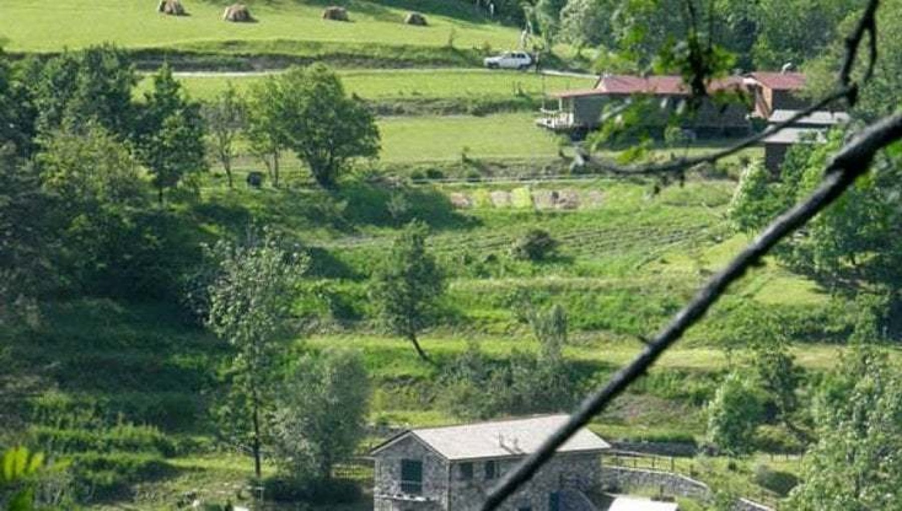 Centro Anidra, indagata l'amministratrice - la Repubblica