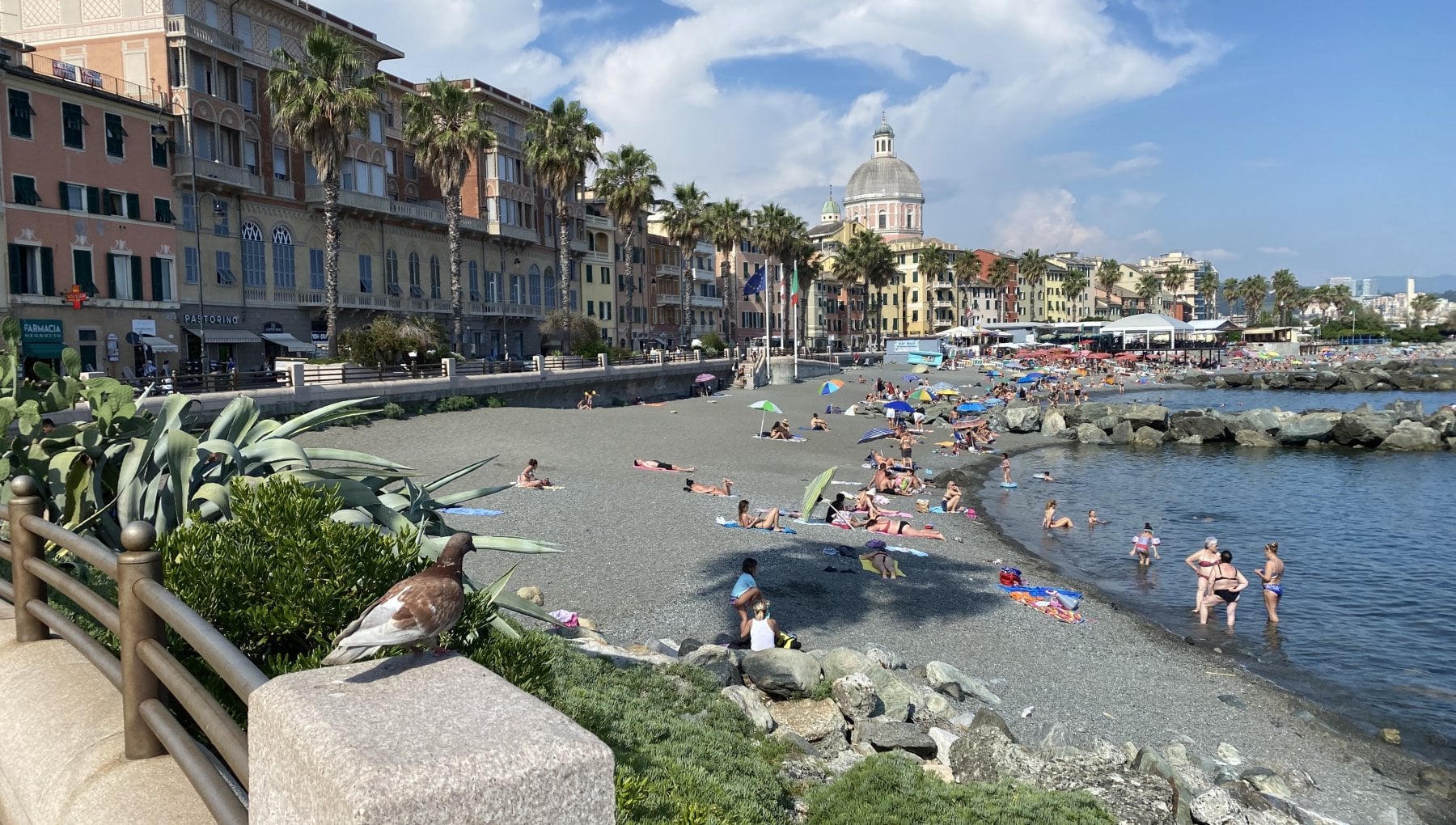 Gavitelli e scarichi il mare di Genova Pegli balneabile o forse no - la ...