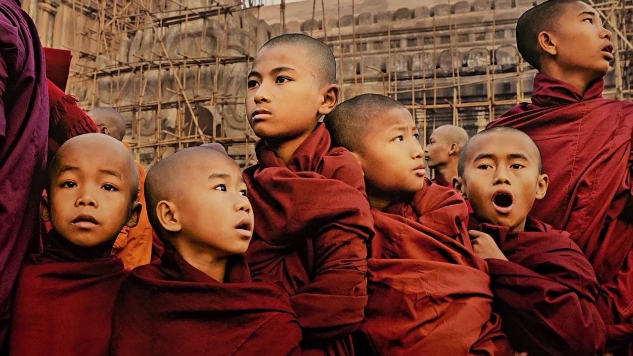 Le foto di Steve Mc Curry al Ducale, uno sguardo sull'infanzia - la ...