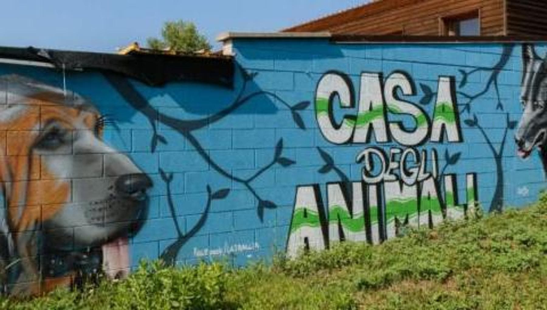 Blitz dei carabinieri al canile Monte Contessa, Gianni Pastorino: “La ...