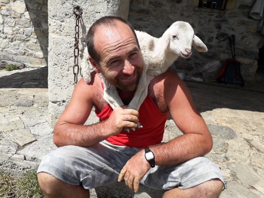 "Selfie con la pecora", il concorso fotografico della Bergamasca: vince ...