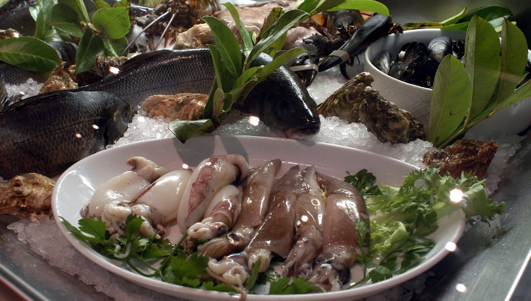 Cadmio nei calamari congelati: sequestrate alla dogana di Bergamo 11 ...